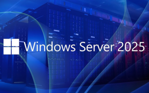 windows server 2025 | 胖哥叨逼叨